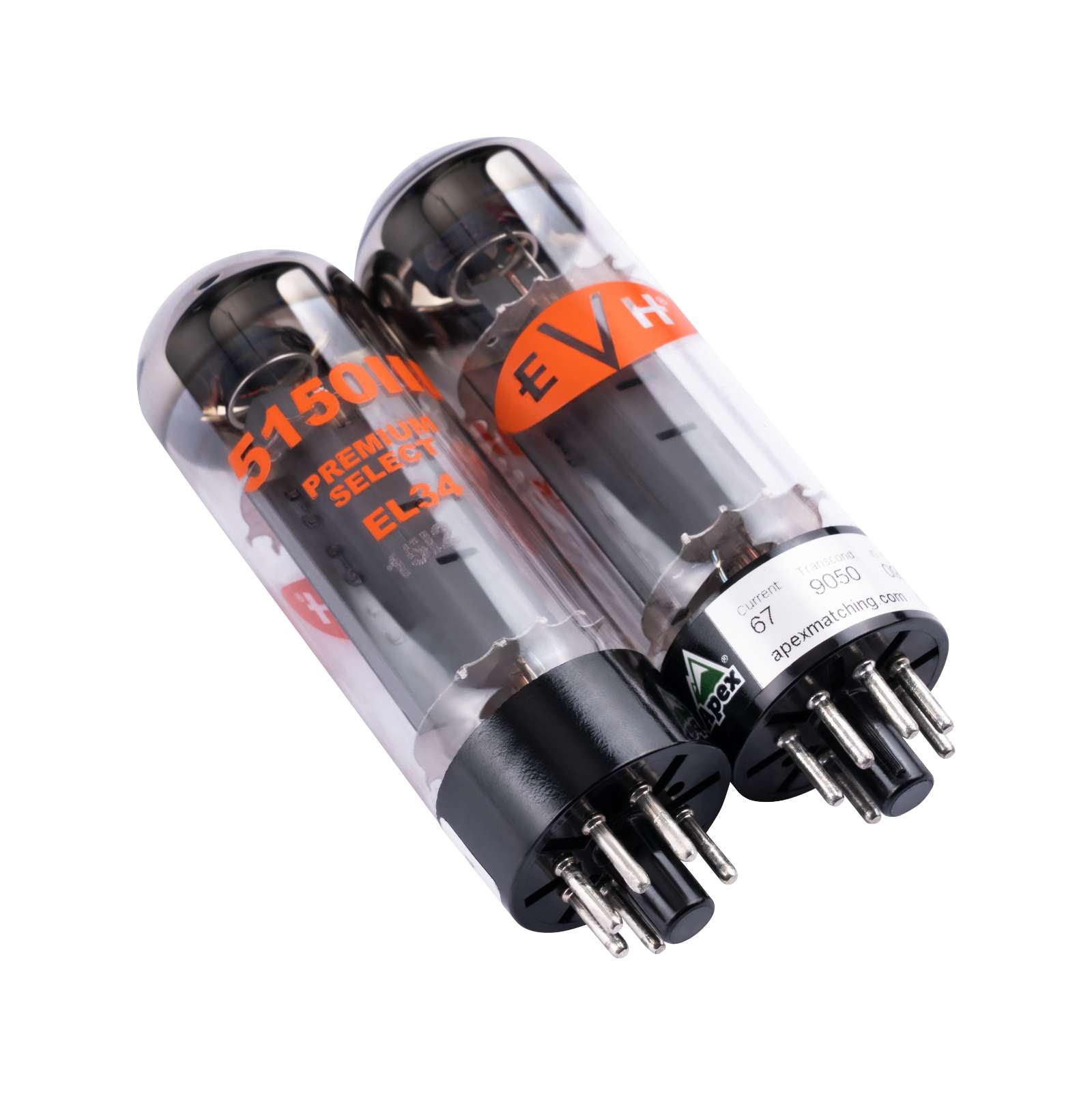 EVH 0223534002 SET BULBOS – Holocausto